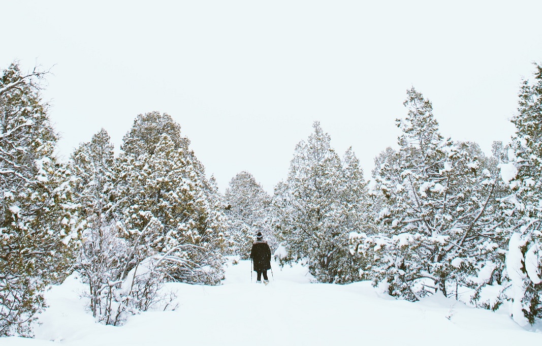 ¿Cuál ha sido la mayor nevada registrada en febrero? | Eltiempo.es