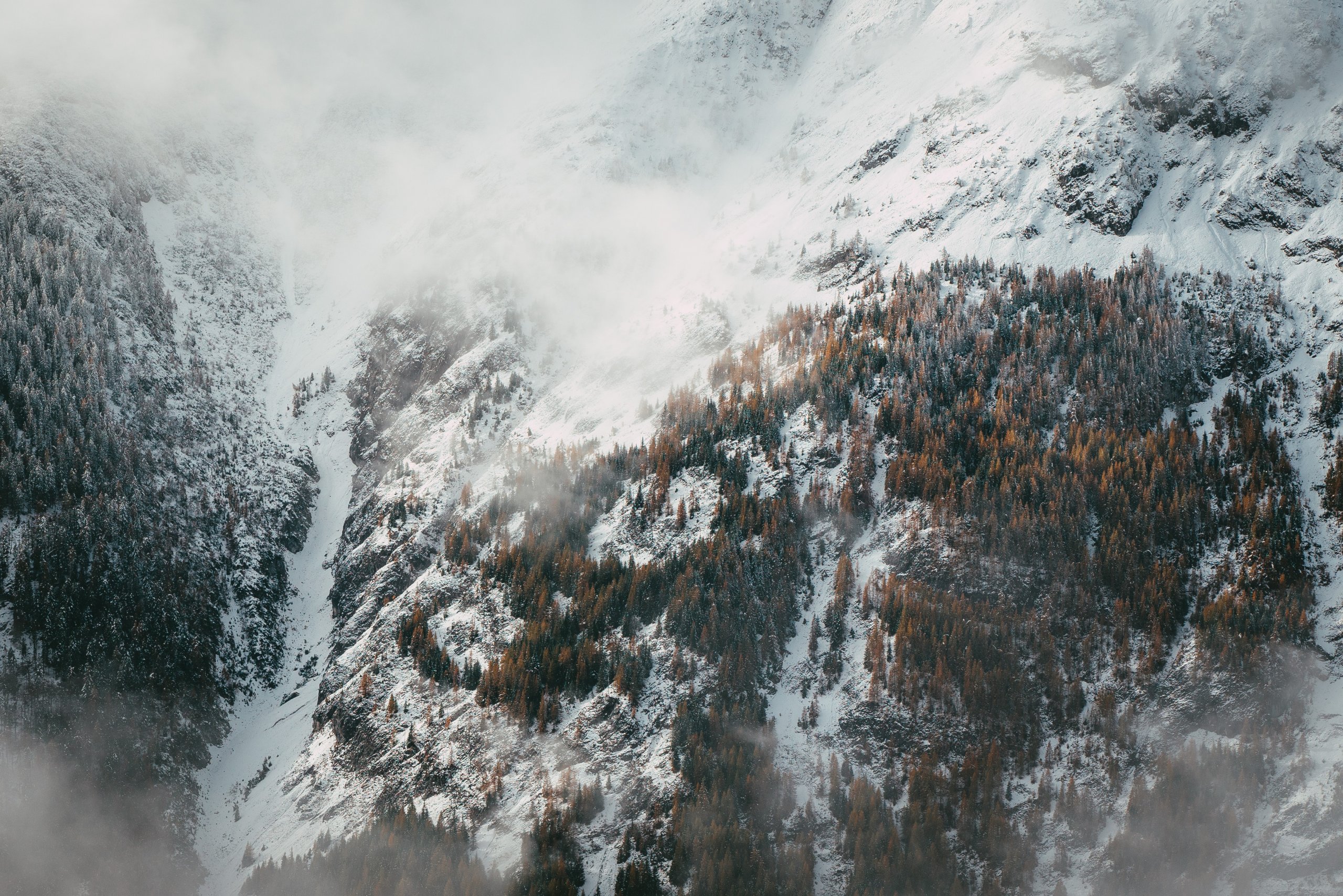 ¿Se puede sobrevivir si te cae una avalancha de nieve? | Eltiempo.es