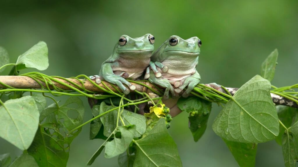 Día del Ruido: cómo afecta el ruido a la salud de las personas y los ...