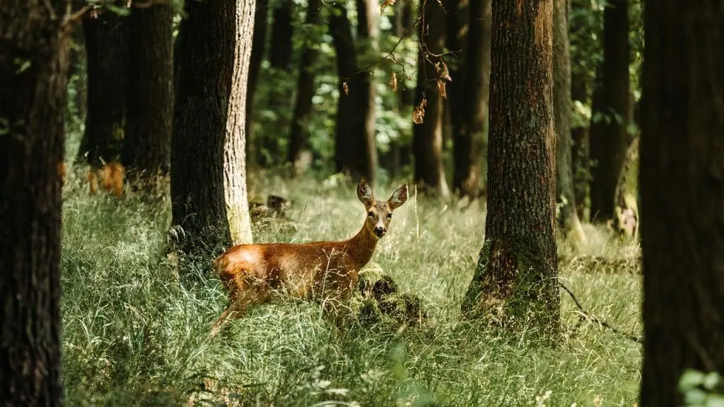 Día del Ruido: cómo afecta el ruido a la salud de las personas y los ...
