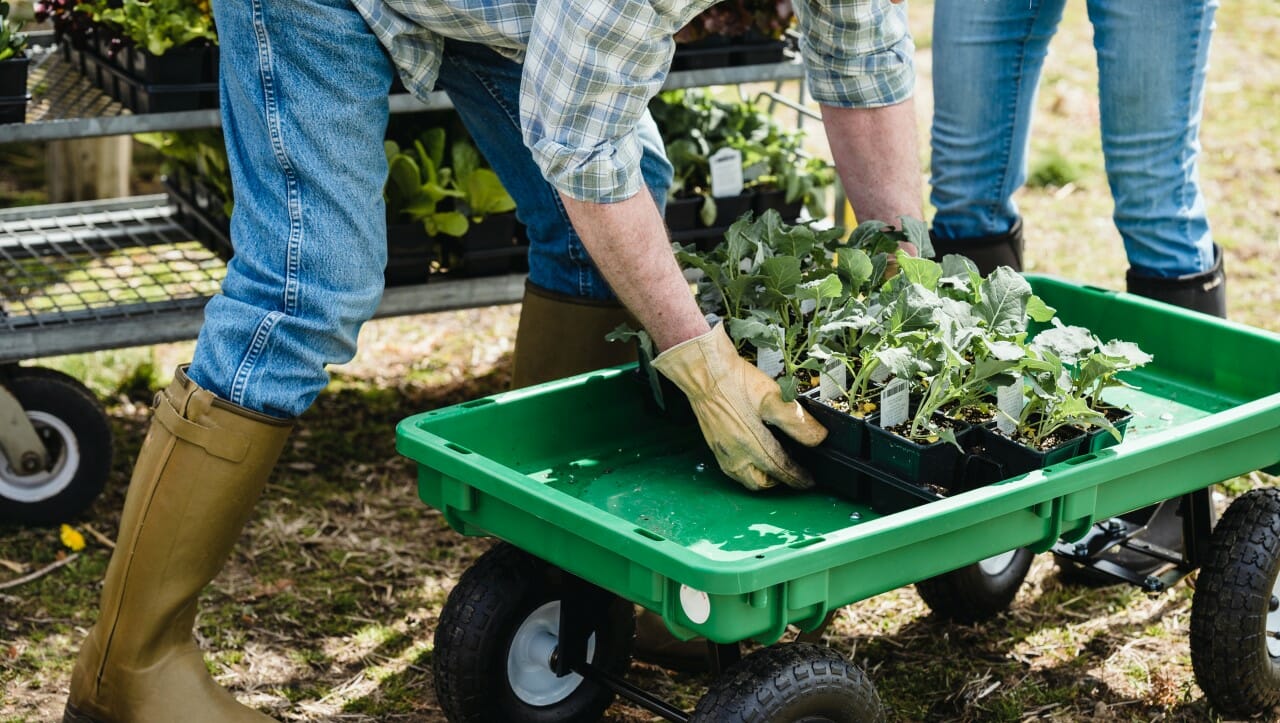 Cómo diferenciar entre «bio», «eco» y orgánico en las etiquetas ...