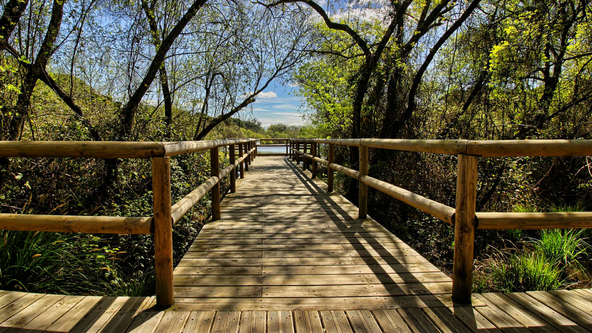 Cuando marzo mayea… ¿mayo marcea? | Eltiempo.es