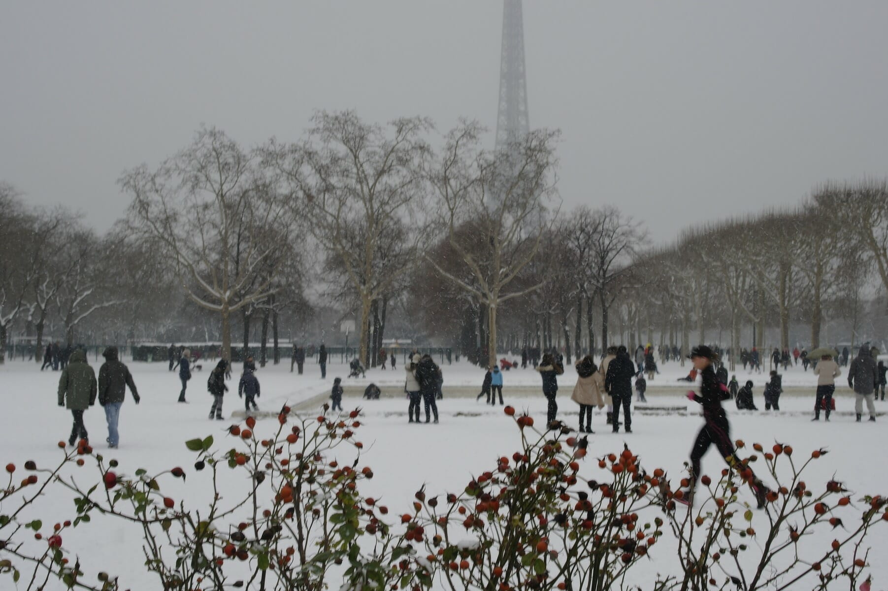 ¿Cómo nos calentaremos este invierno en Europa si escasea la energía ...