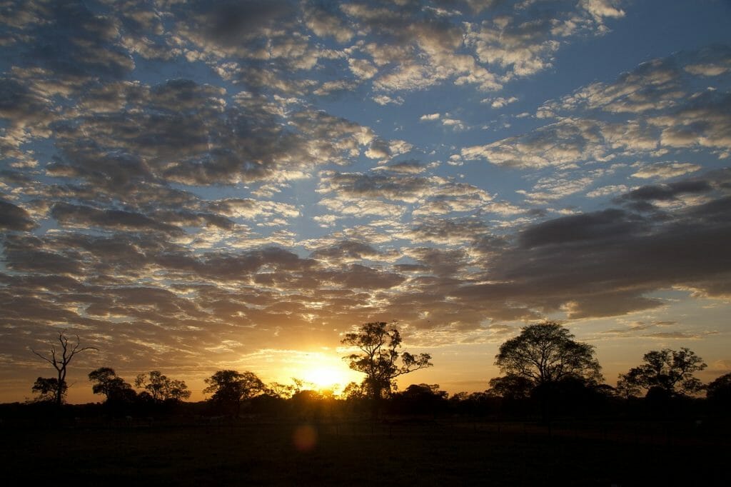El pantanal de Brasil, un reducto natural que lucha por sobrevivir ...