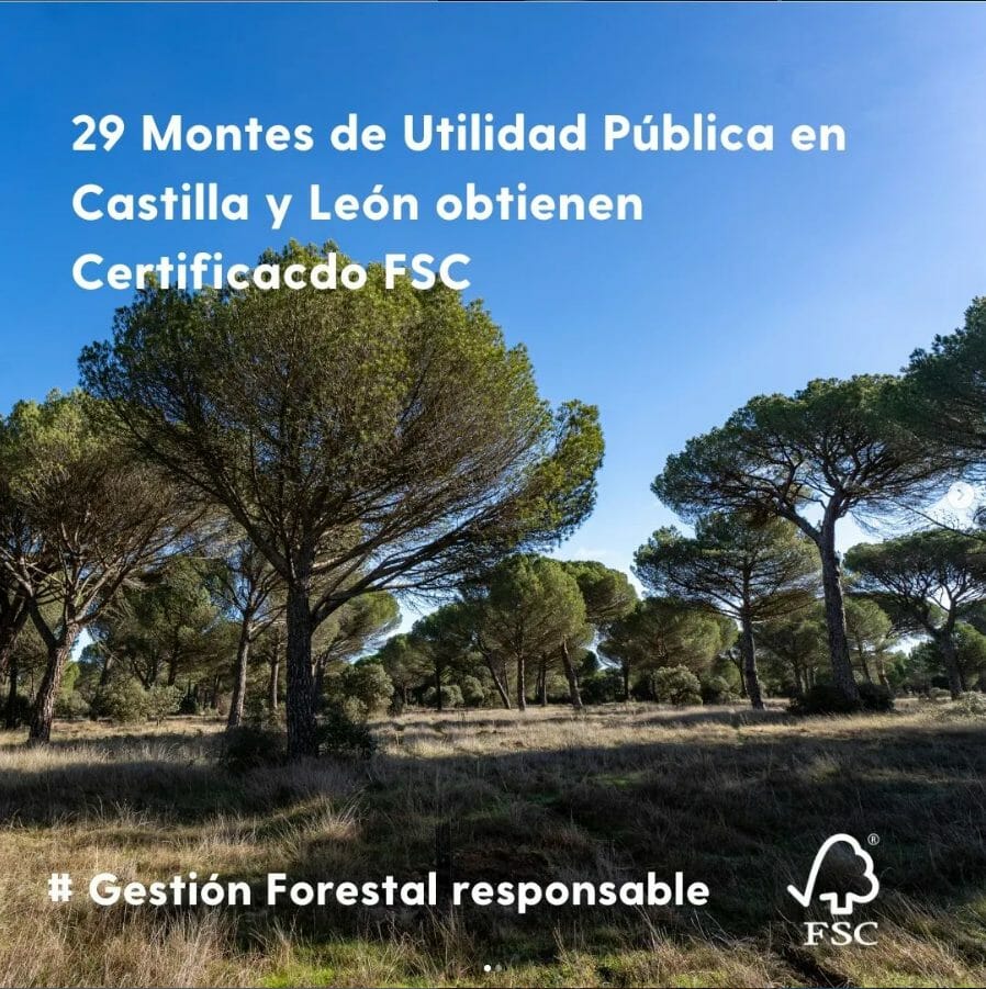 Carrefour, FSC y Mahou San Miguel refuerzan su compromiso con la ...