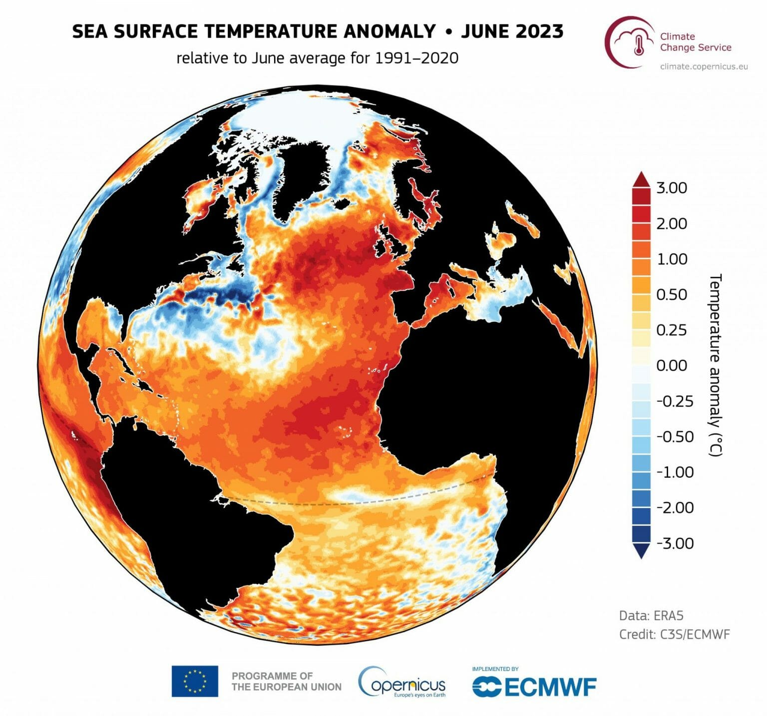 Las olas de calor marinas amenazan cada día más la vida bajo el agua | Eltiempo.es