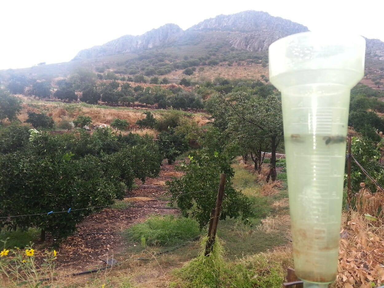 Lluvia Caída En España Estas Son Las Cifras Que Ha Dejado La Dana