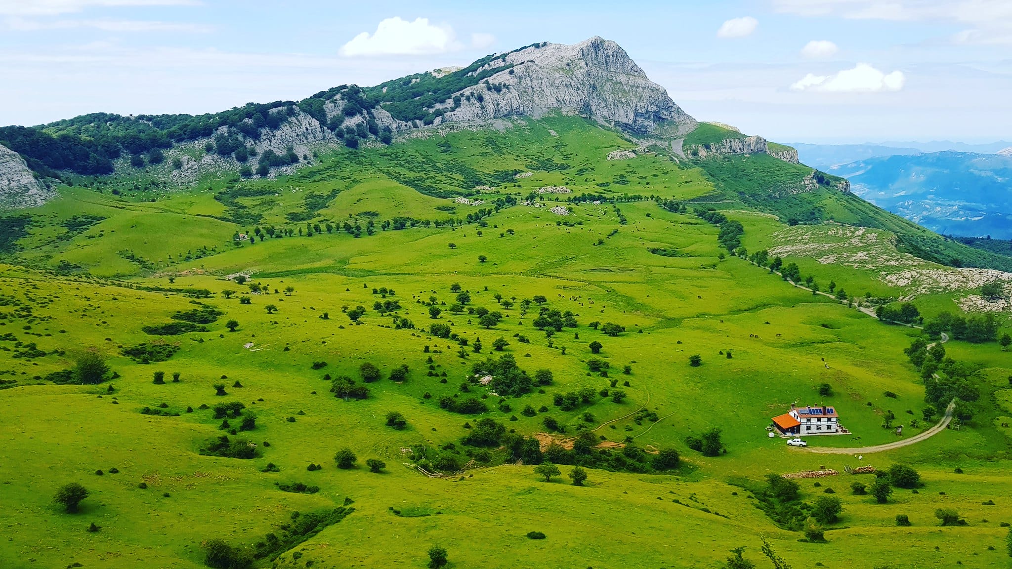 Celebra el Día Mundial del Bosque recorriendo el Monte Gorbea | Eltiempo.es