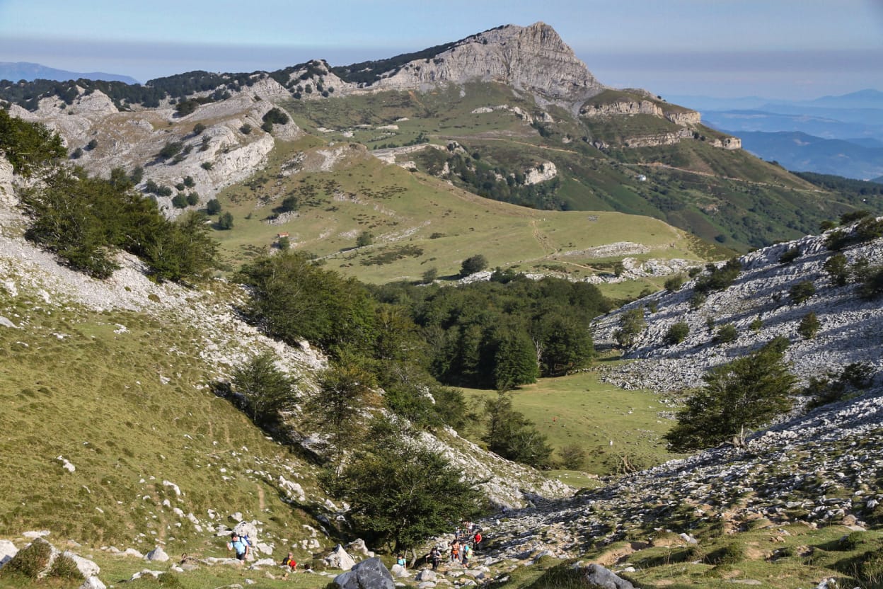 Celebra el Día Mundial del Bosque recorriendo el Monte Gorbea | Eltiempo.es