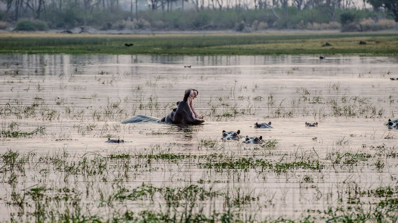 Río Nilo: historia, características y relevancia | Eltiempo.es