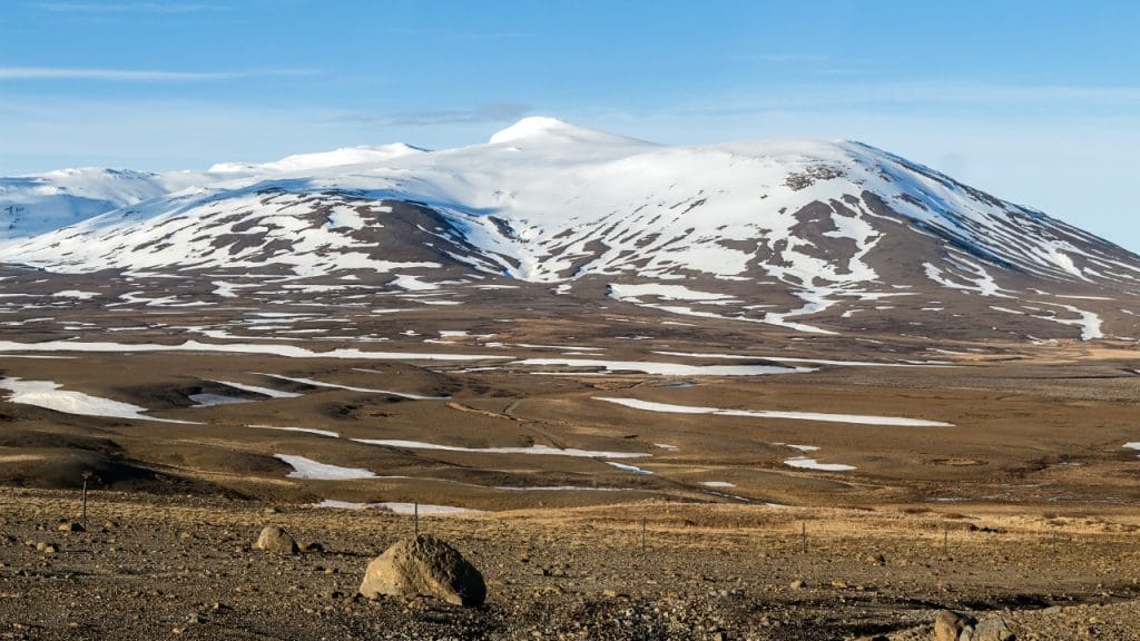 La tundra: características, flora, fauna y clima del bioma ártico ...