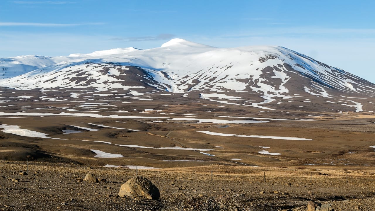 La tundra: características, flora, fauna y clima del bioma ártico ...