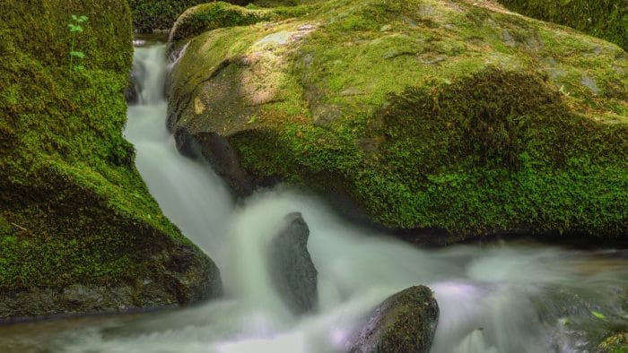 Manantiales: Qué son, cómo se forman y su importancia en el ecosistema | Eltiempo.es
