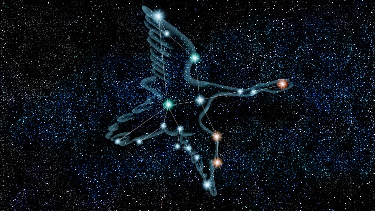 La constelación Cygnus, el mítico Cisne, se podrá observar esta semana ...