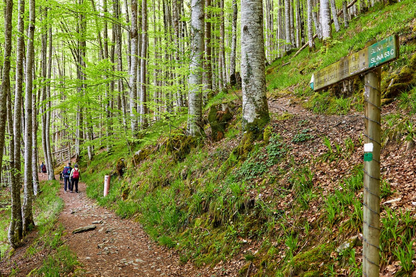 Los 10 mejores lugares de España para disfrutar del otoño según la IA ...