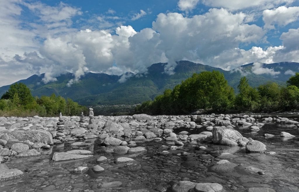 Estuarios: qué son, cómo se forman y su importancia ecológica | Eltiempo.es