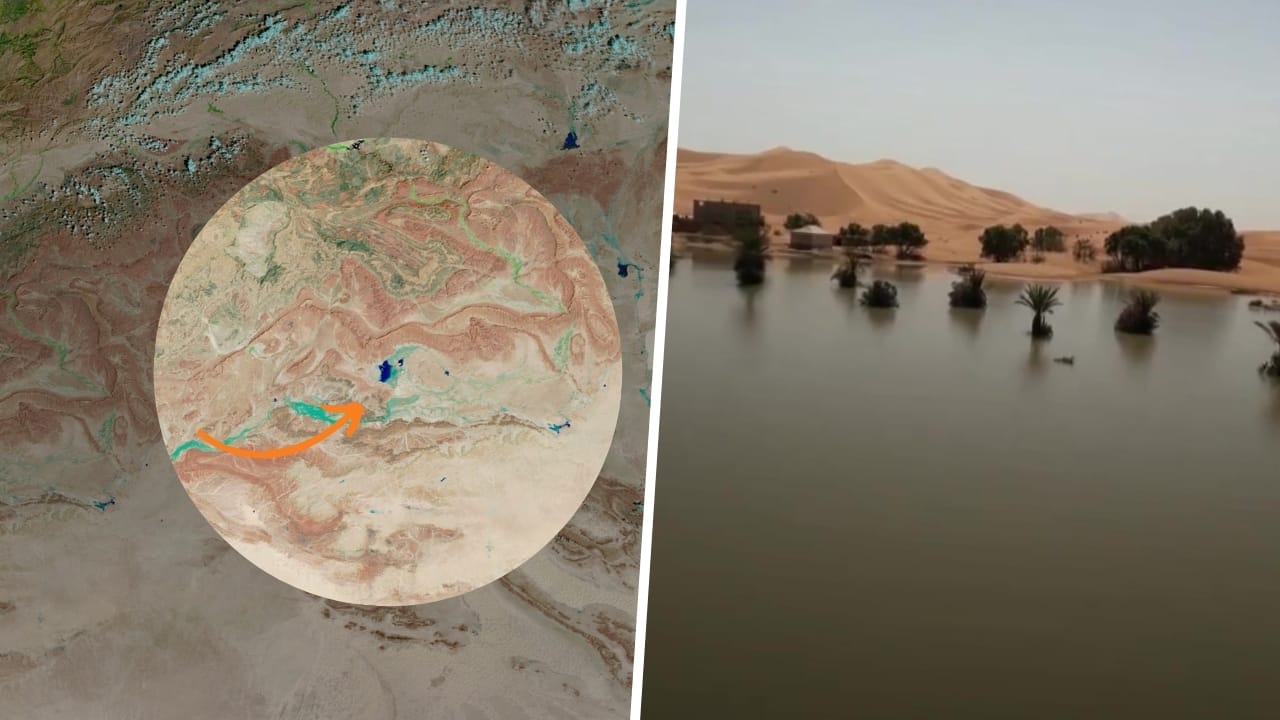 Las imágenes y vídeos del desierto del Sáhara inundado tras 50 años de ...