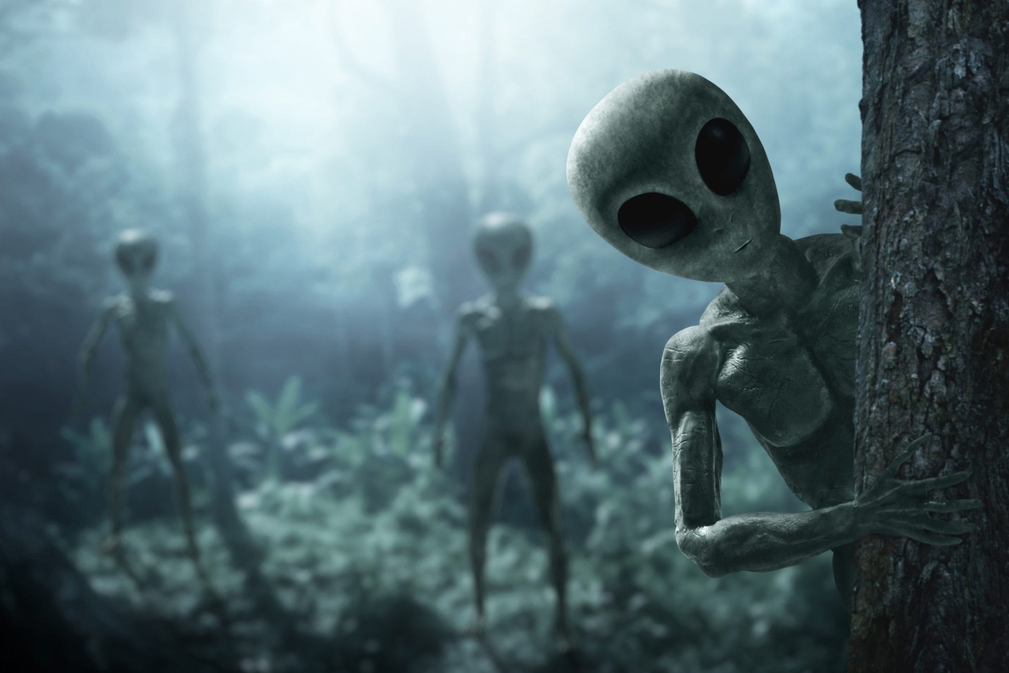 ¿Qué pasaría si los extraterrestres hicieran algún contacto con la ...