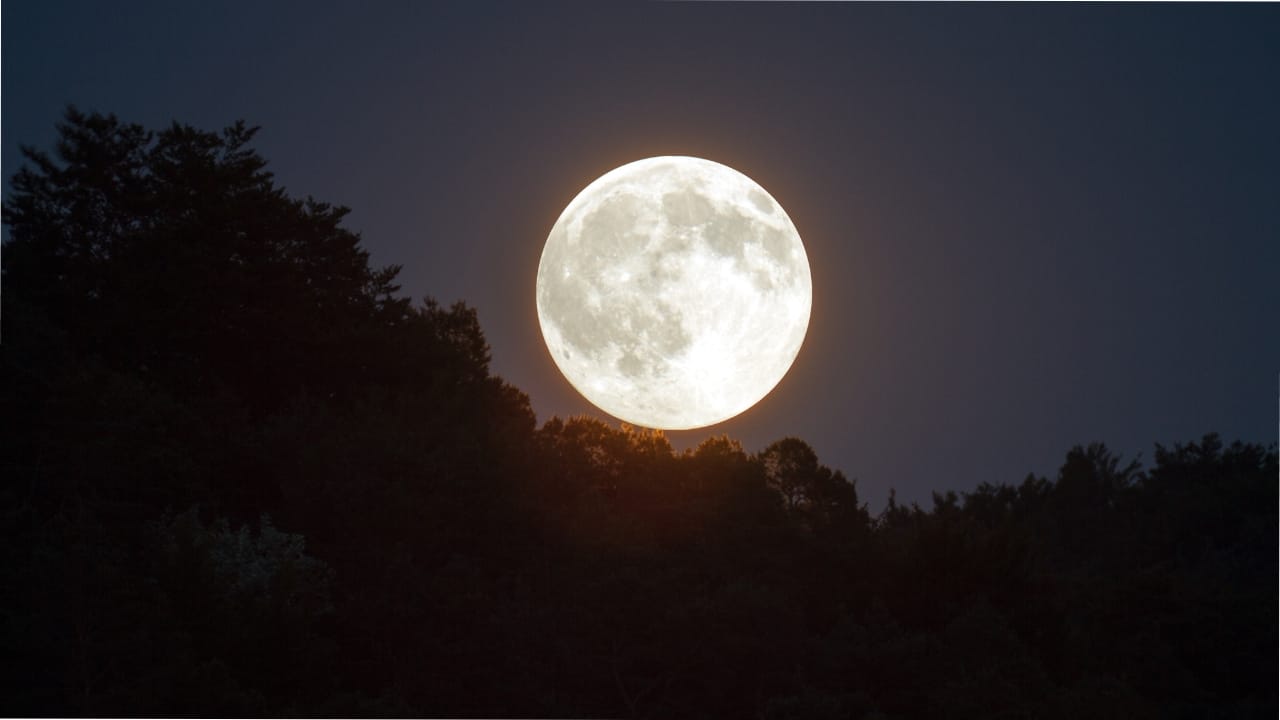 Fases lunares ¿Qué son y cuantas hay al mes? | Eltiempo.es