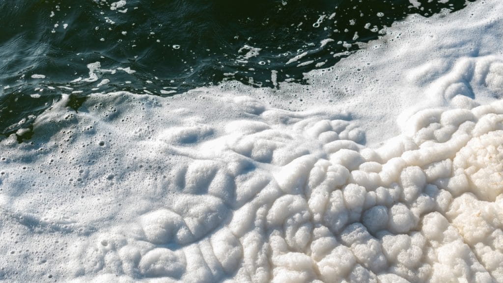 Herminia deja las costas llenas de espuma de mar: ¿Cómo y por qué se ...