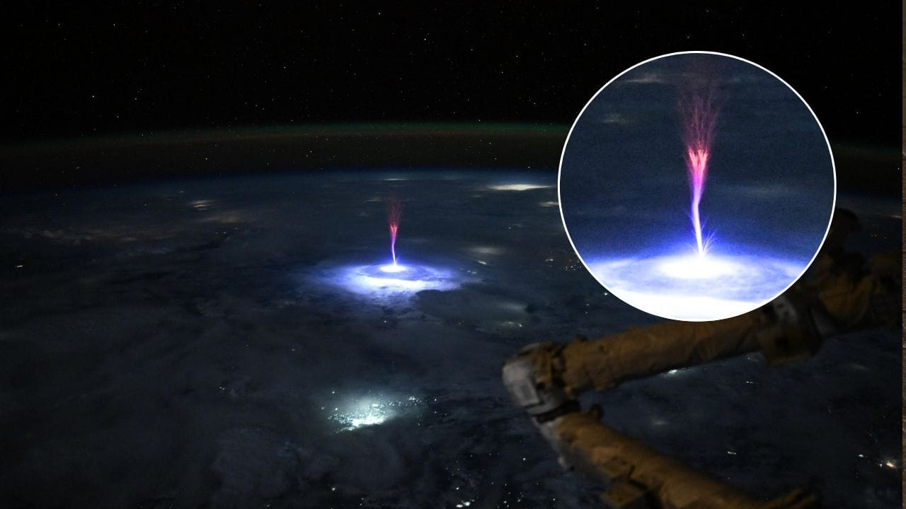 Livy mae porn leak the provider seems a little aged and