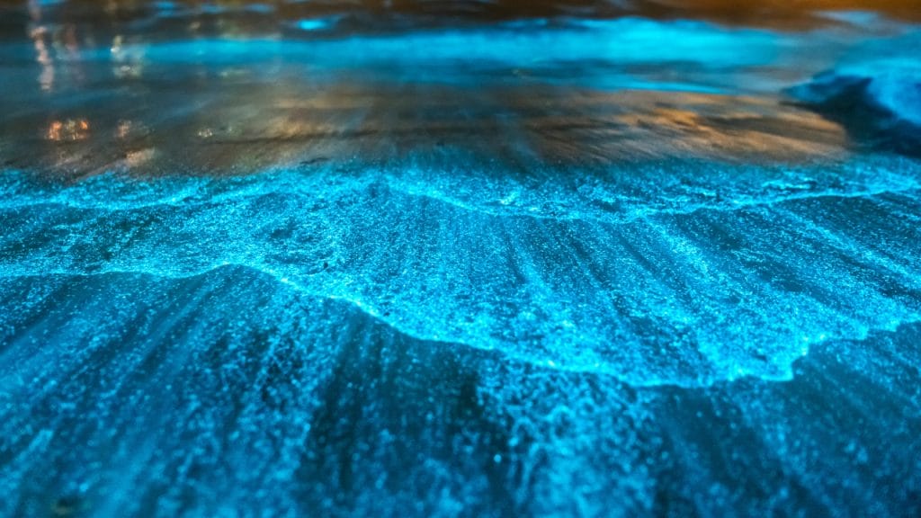 Mar de ardora: Las auroras boreales del mar de España. ¿Dónde verlo ...