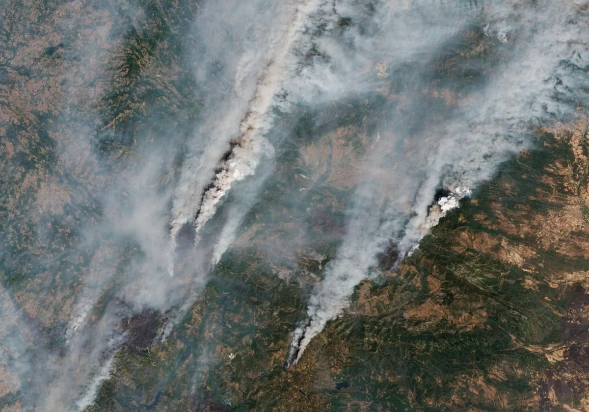 Incendios de récord en 2025: el clima extremo y la vegetación, causas ...
