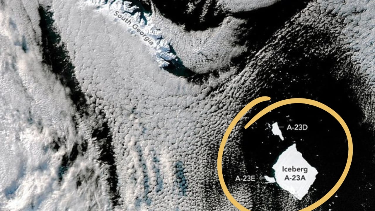 El iceberg A23a encara su «desaparición» tras casi cuatro décadas a la ...