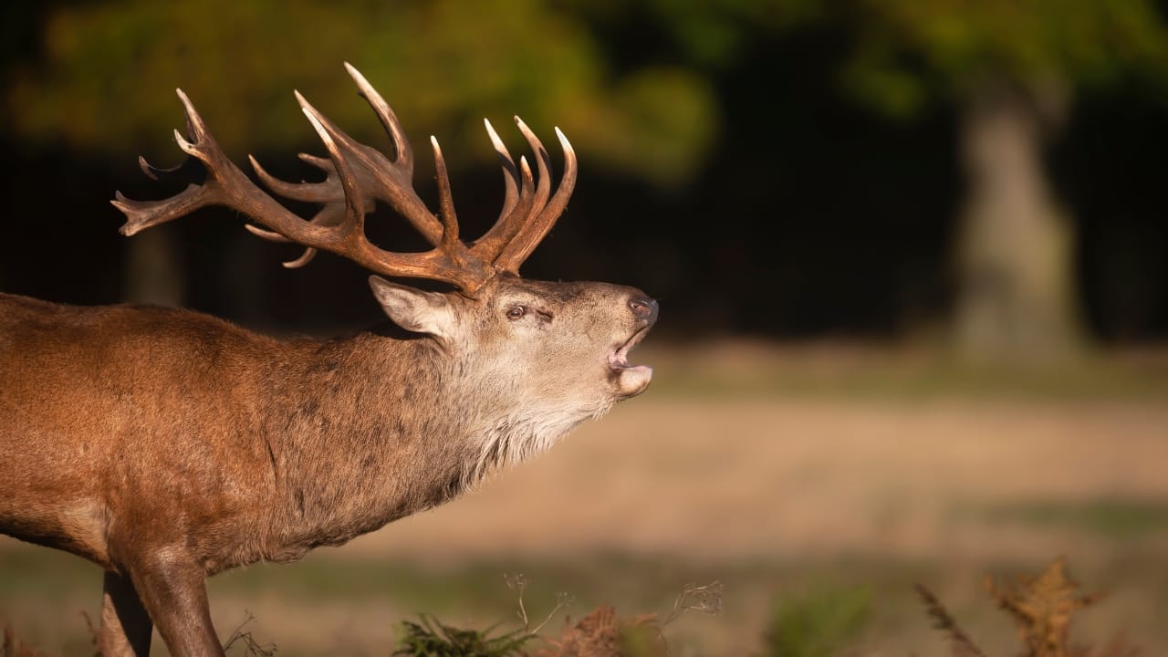 Bokep katseem absolutely, the session was a smash and I was