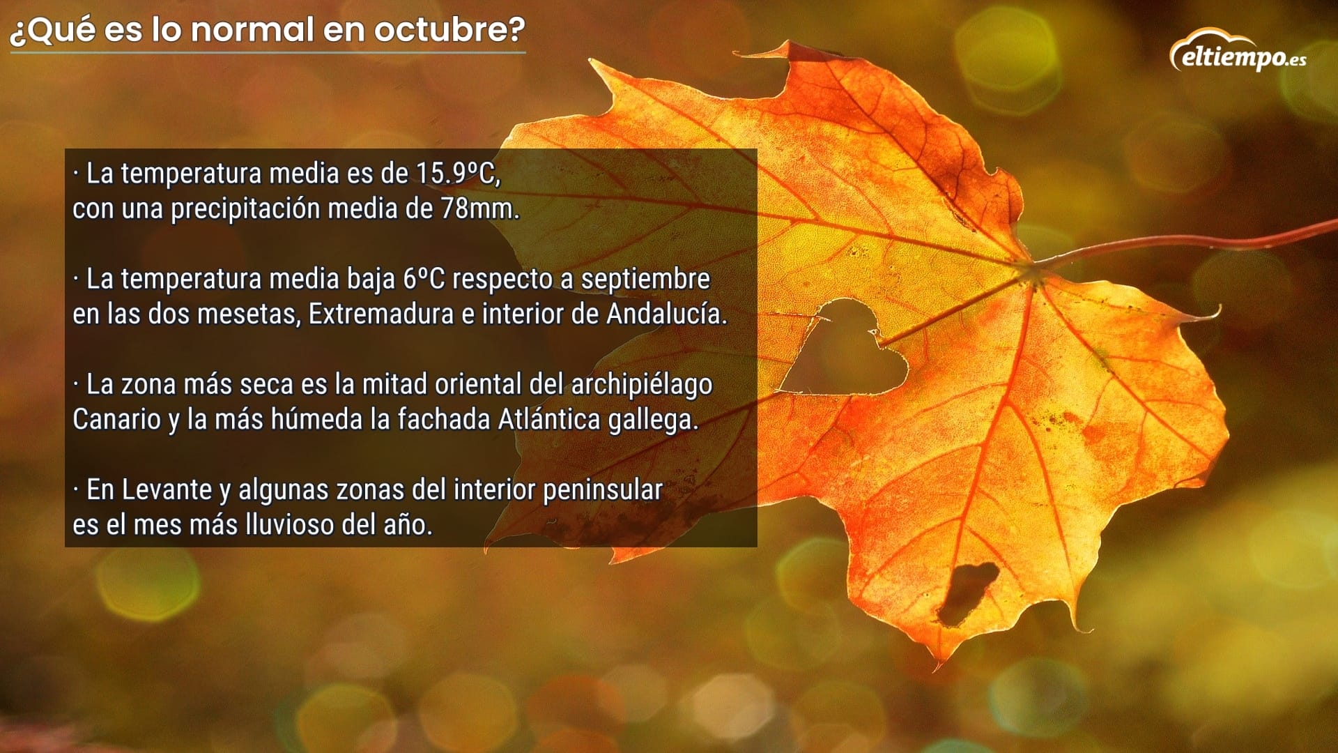 La previsión de octubre 2025 dibuja un otoño cálido y con menos lluvias ...