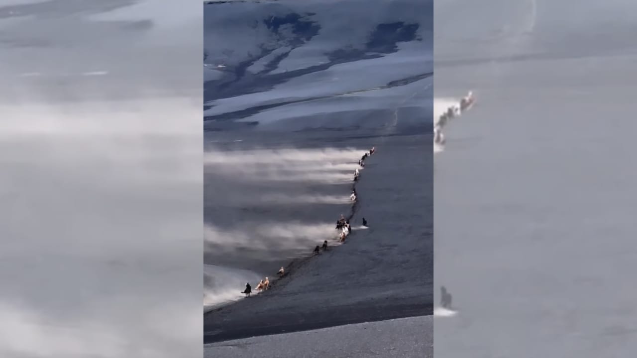 El vídeo de Islandia que no parece real: caballos galopando sobre arena ...