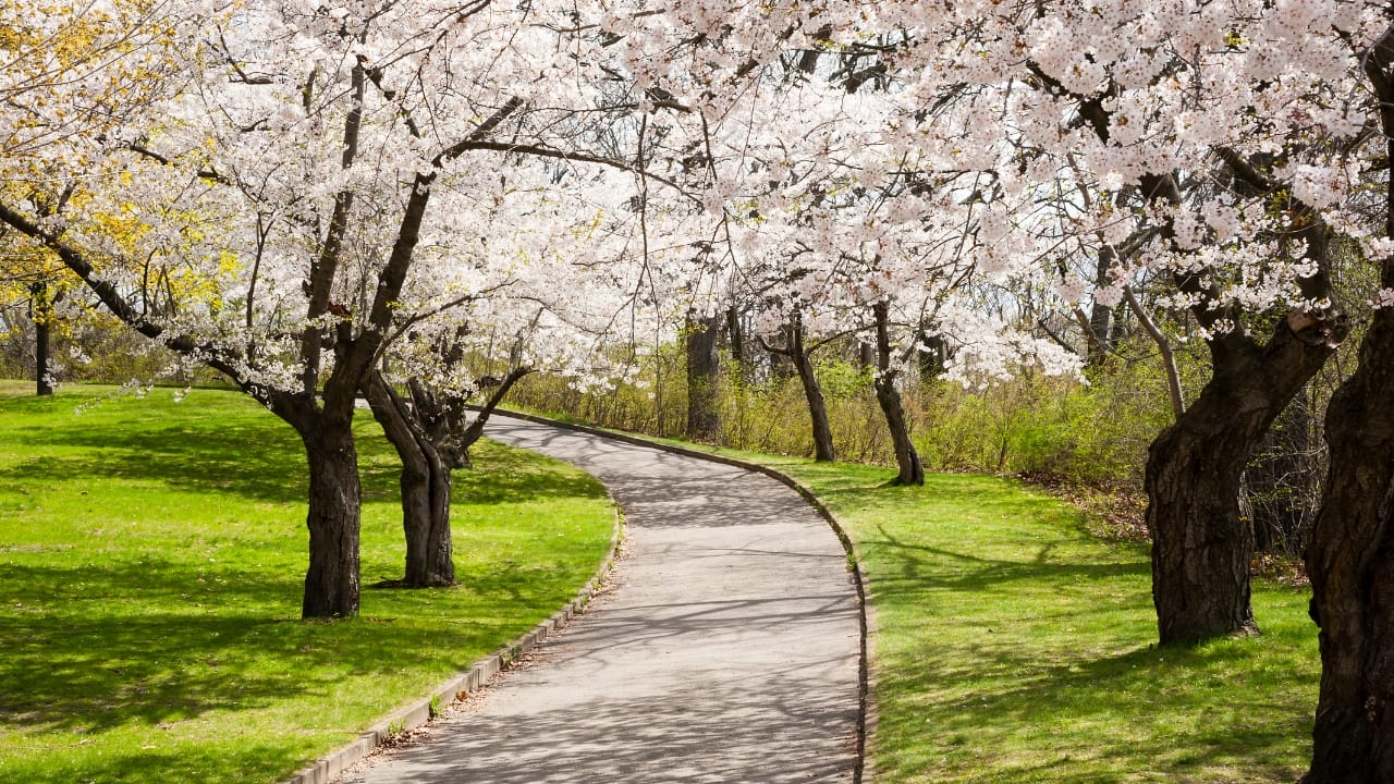 Llega la primavera 2026: más luz, cambio de hora y una atmósfera que se ...