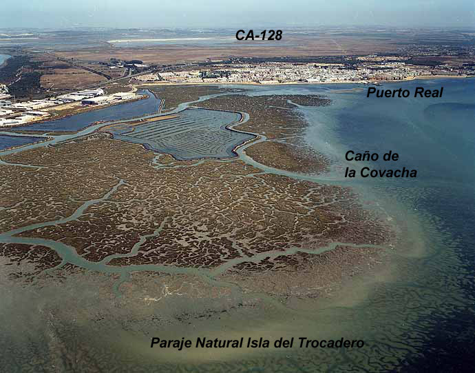 Consulta el tiempo que hará en Playa de La Cachucha - Eltiempo.es